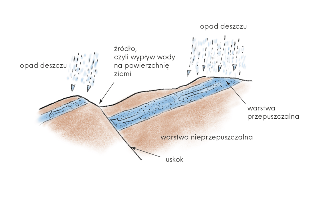 3. Obszar źródłowy rzeki Bukownica